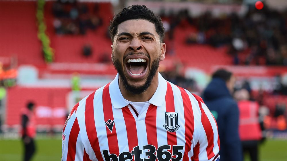 Stoke City FC - Laurent: Unity was key